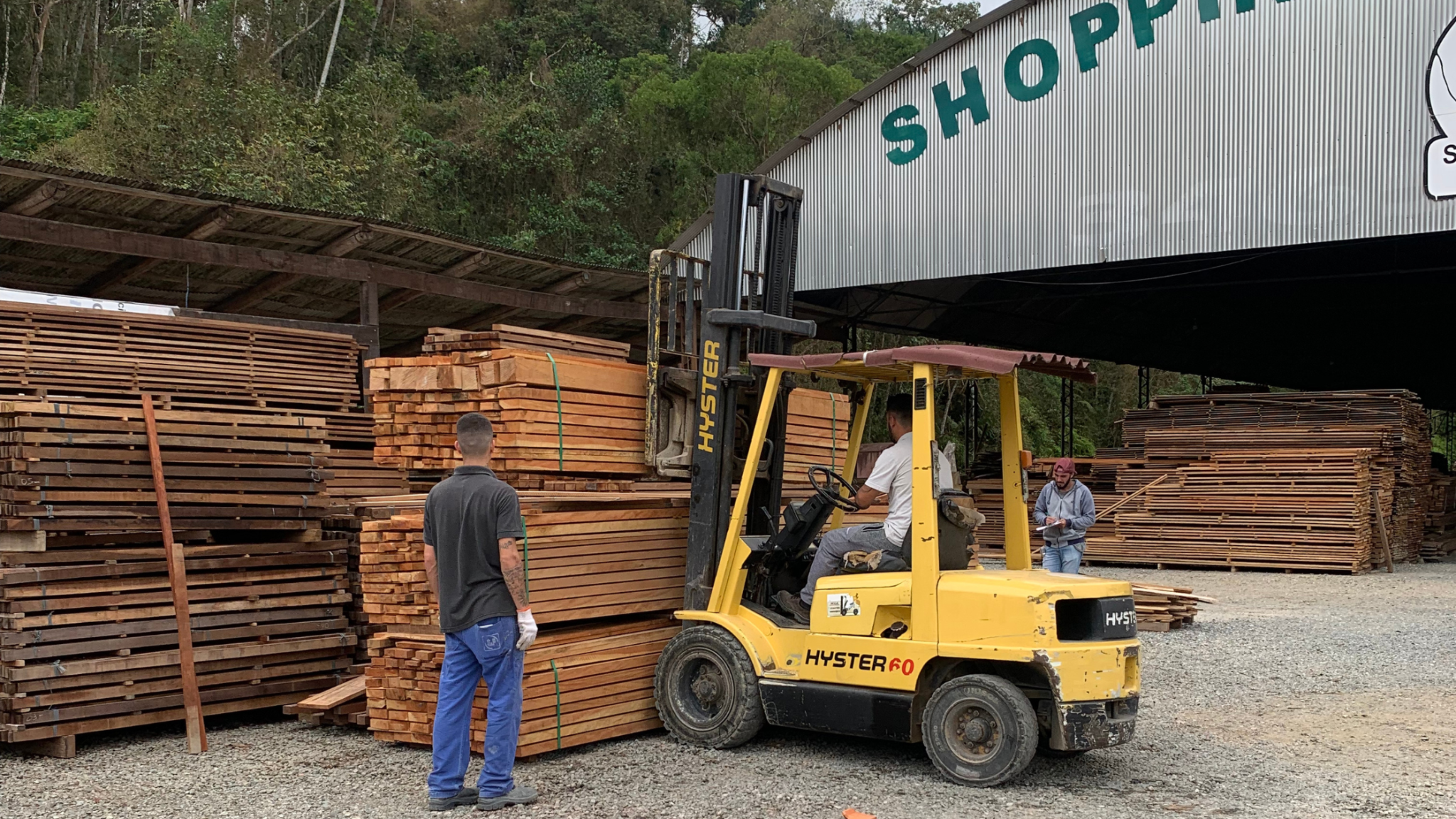 Quais as madeiras mais resistentes? | Shopping da Madeira
